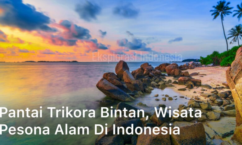 Pantai Trikora Bintan, Wisata Pesona Alam di Indonesia